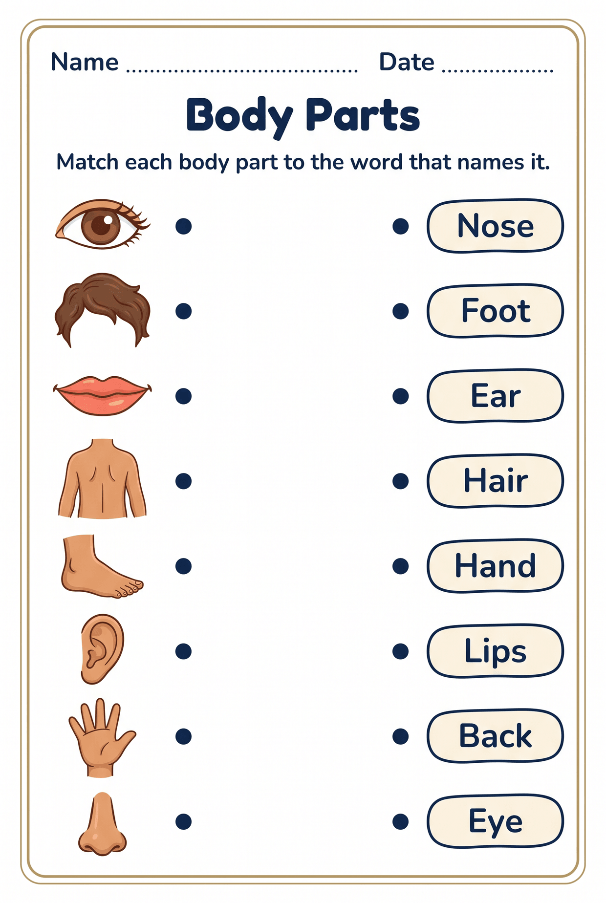 Body Parts Worksheet: Match the Picture to the Word